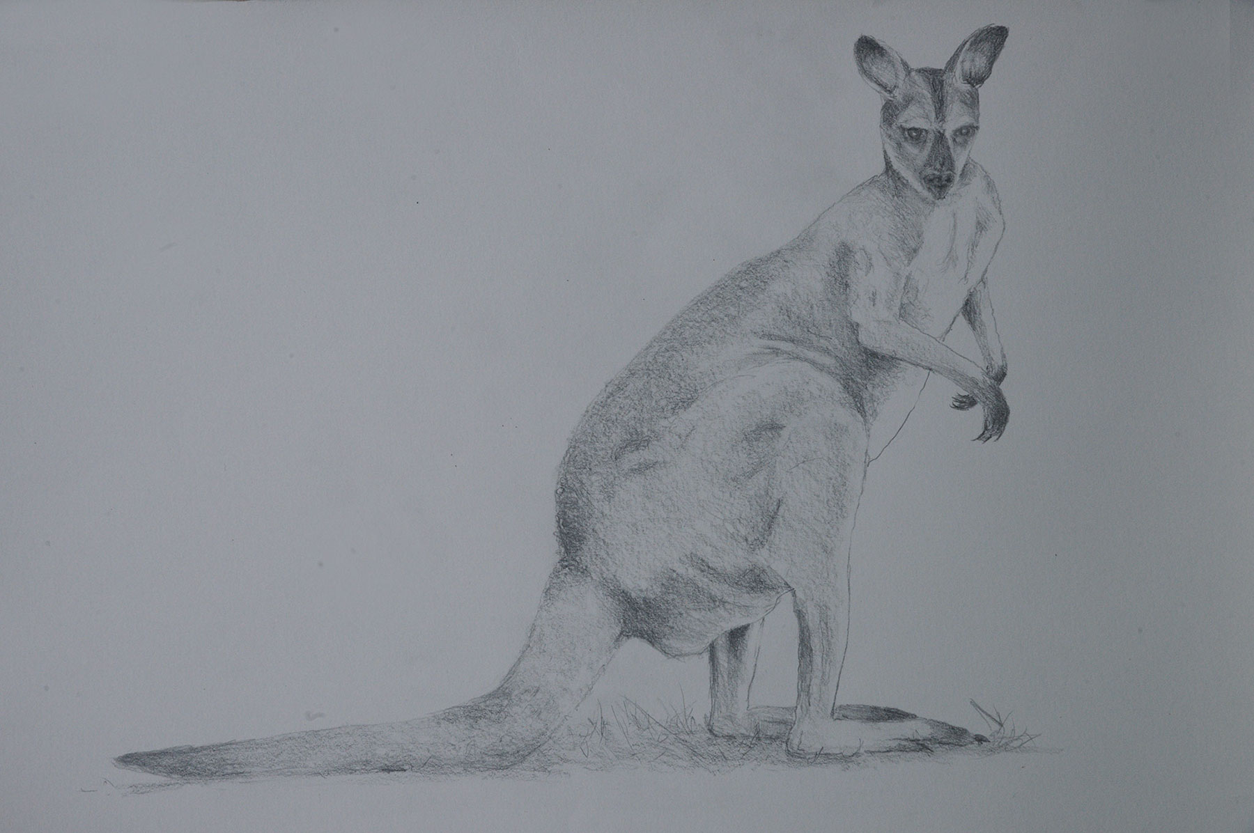 Another distraction – jennifer eurell