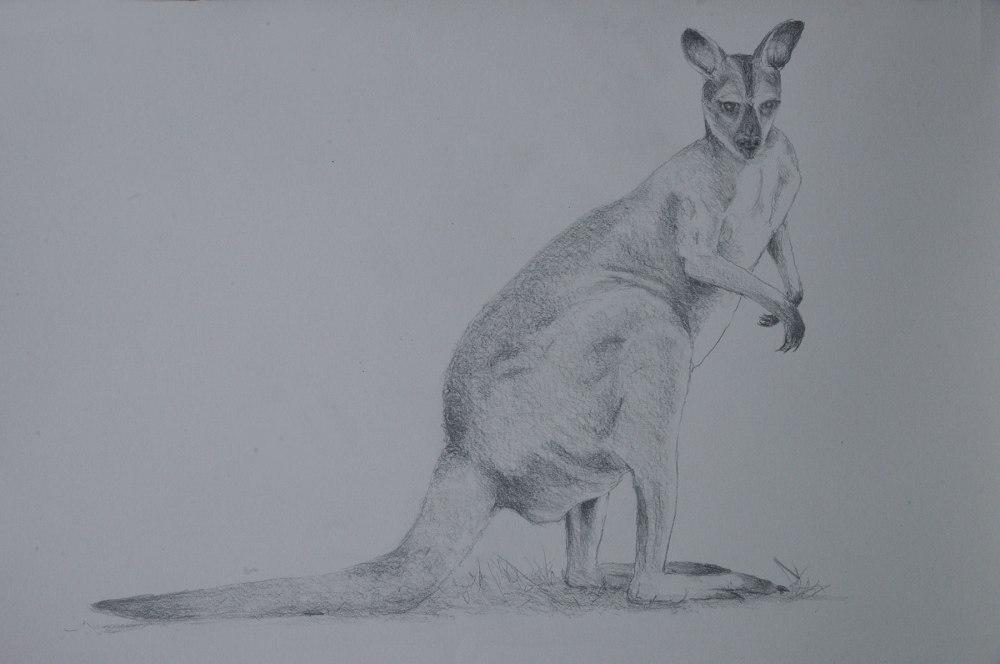 Another distraction – jennifer eurell